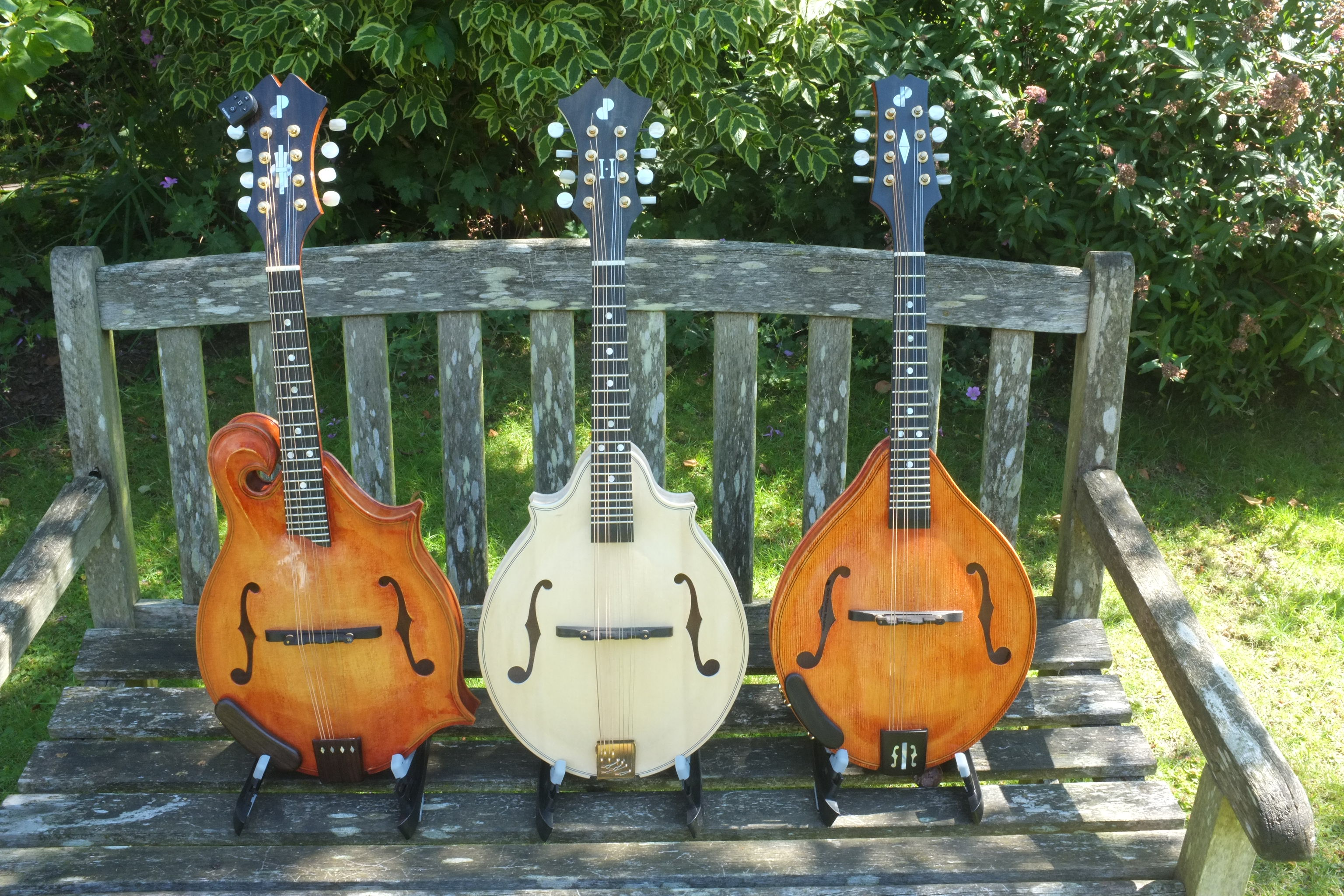 Chris Pritchett Mandolins – Hand made fretted instruments